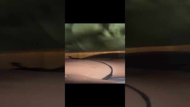 09-11-2024