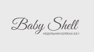Коляска 3 в 1 для новорожденных Farfello Baby Shell 2024