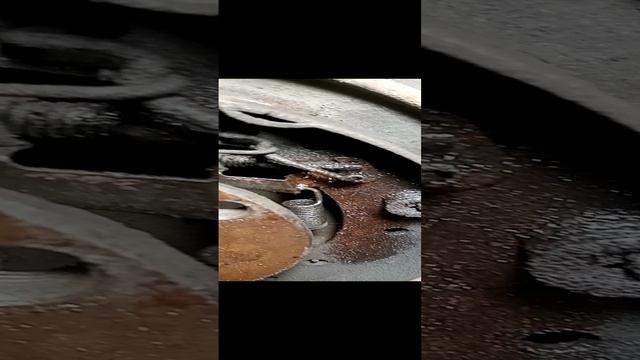 VID_20241011_172941.mp4