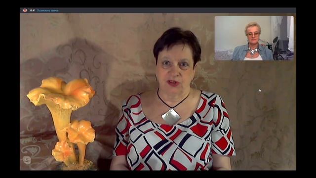 Вакууматор, солёные грибы и др.  Вопросы и ответы №12  от 15 апреля 2020 г.