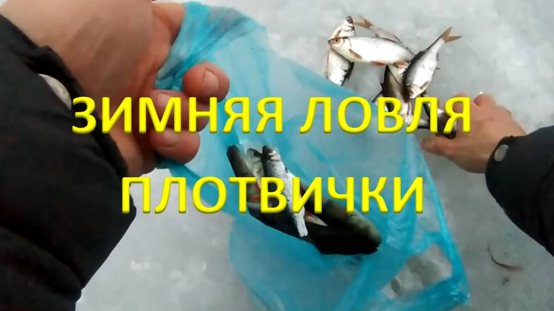 И всё ещё перволёдье 2021-22. Декабрь.