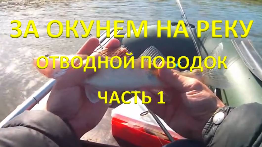 Часть I. За хорошим окунем на отводной поводок. Река Белая. Первый день.