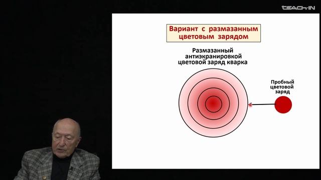 Капитонов И.М. - Физика атомного ядра и частиц - 8. Асимптотическая свобода