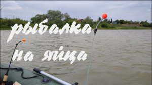 Рыбалка на ЯЙЦА (Кольцо) на Иртыше
