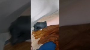 Колеруем журнальный столик из карагача.