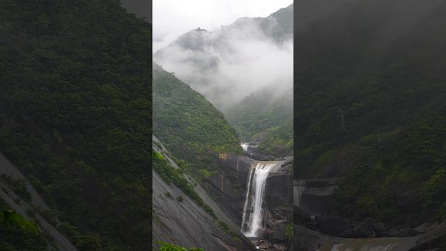 Tranquil Nature Retreat: Bush, River, and Waterfall Bliss #waterfall #mountains #naturelovers