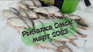 Чебак в марте. Рыбалка в Сибири .Омск 2023