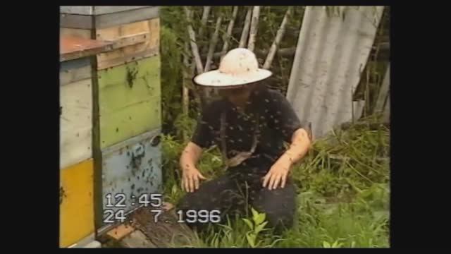 1996   -   3.  Роение и качка