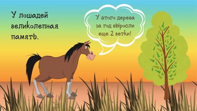 Лошади - умные друзья человека