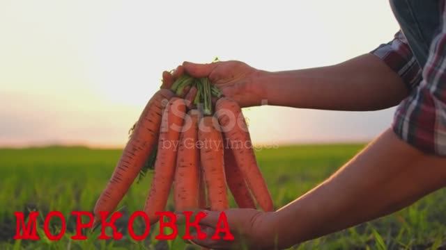 Слова-названия: овощи 1В