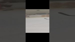 ребят я был на хоккее смотрел как играют люди это было очень круто 👌😁😀😆
