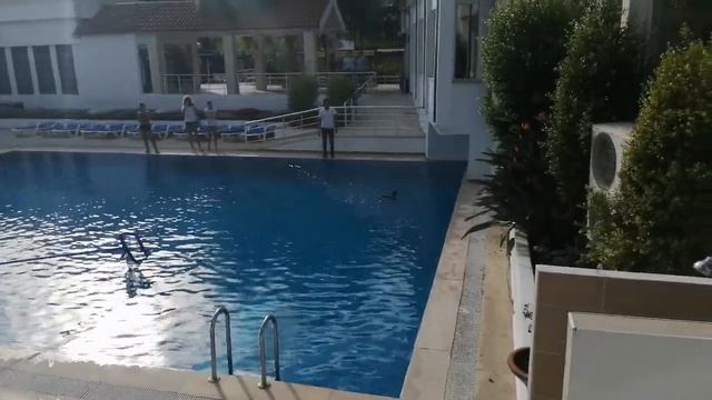 Охота на утку в турецком отеле.