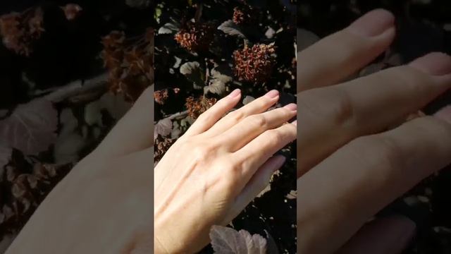 Вот такой он - ноябрь