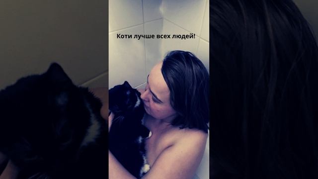 Котики лучше людей (демо)
