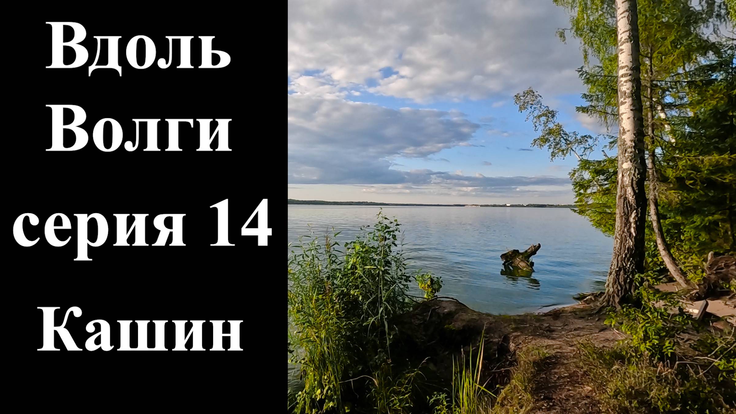 14 серия. Кашин