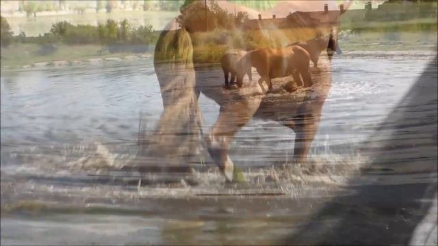 Wakan Tanka