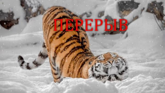 Rebirth 1.8