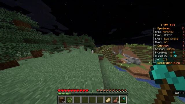 Играю на рили ворлд *снисли акки на minelandy*