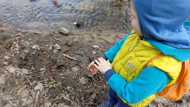 Лягушка греется на руке