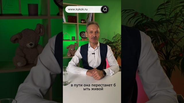 KYK — ваш путь к здоровой жизни с помощью ионизированной воды