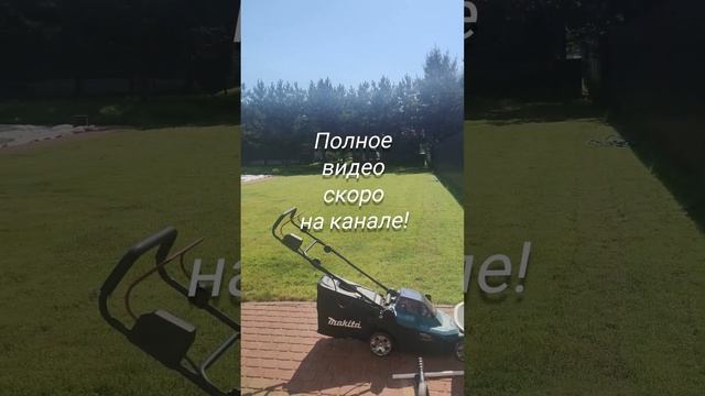 РЕАЛИЗАЦИЯ ПРОЕКТА ЗА МЕСЯЦ!