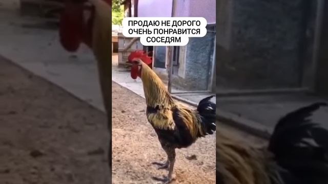 С добрым утром!😁