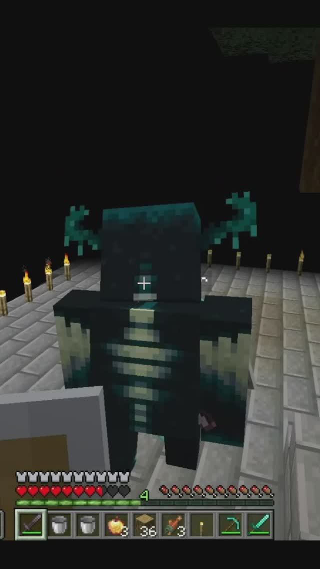 Победил Вардена но потерял друга