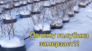 1000151402.mp4