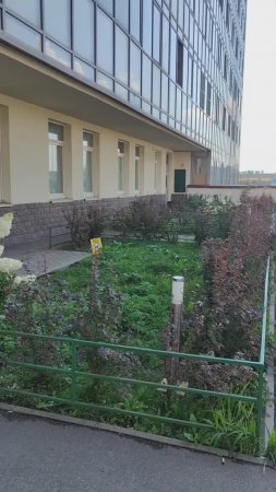 Что будет с садом , если не ухаживать?