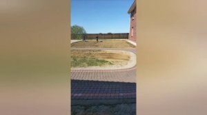 Ландшафтный дизайн ДО и ПОСЛЕ