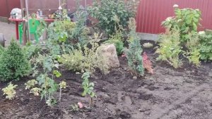 Преображение старого сада за три дня