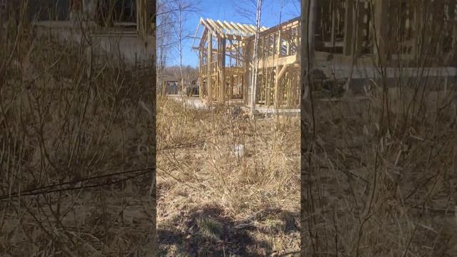 Какие ландшафтные работы можно выполнять параллельно с разработкой проекта?