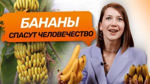 УНИКАЛЬНЫЙ супер ФРУКТ спасёт человечество от ВЫМИРАНИЯ?! В чём польза и вред бананов