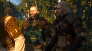The Witcher 3 Wild Hunt - Ultra Settings (i5 6400, rx460 xfx)