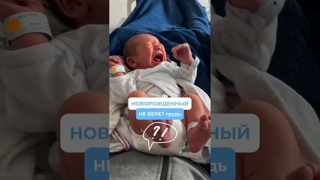 Новорожденный не берет грудь #shorts #новорожденный #грудное_вскармливание