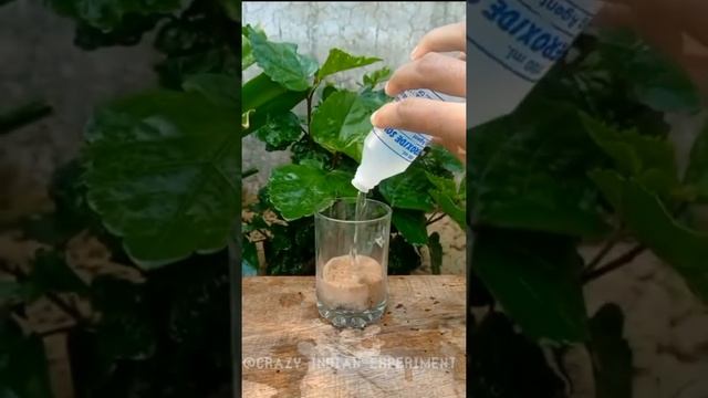 Potassium 🆚 Hydrogen peroxide experiment #short  #experiment // crazy Indian experiment