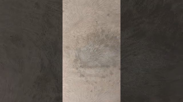 Как очистить (вывести) пятна с дивана Dafor