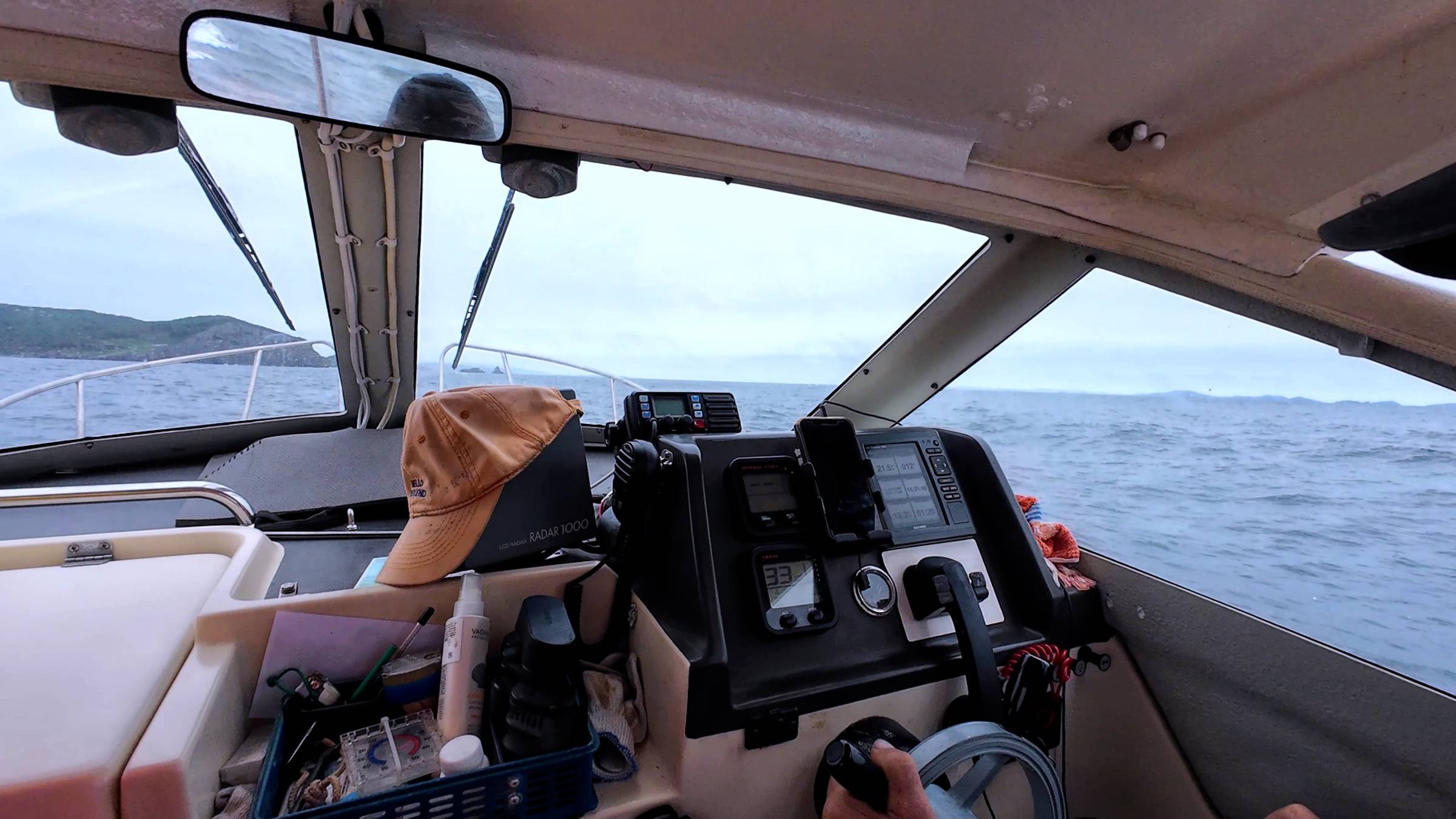 Тихий океан-2024: поиск тюленей в открытом море возле острова Русский #animals #pacific #sealife #4k