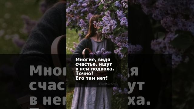 Про счастье #стихи #поэзия #афоризмы #цитаты #позитив #жизнь #любовь #бог #мудрость