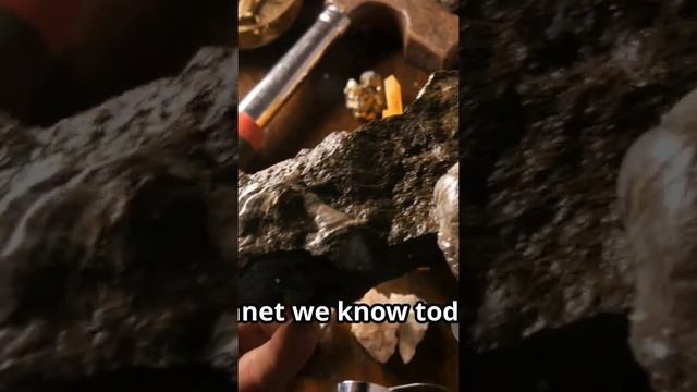 Lessons from our lost world