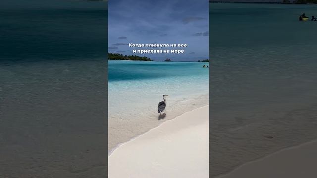 🏝 Все об отдыхе на Мальдивах у нас @maldives_travel
