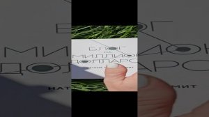 Блог на миллион долларов. Наташа Кортни-Смит. Как стать богатым, знаменитым и любимым благодаря блог