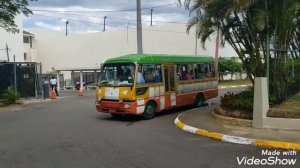 Jamaica mashup Hedonism Negril 2019