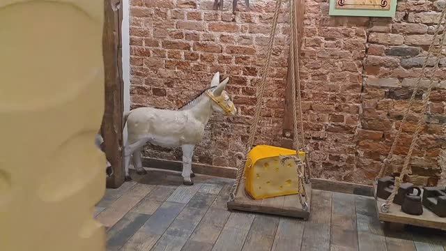 Золотое кольцо России, Кострома, Музей сыра, 2024