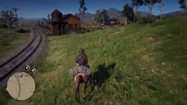 RDR2