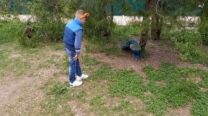 Зоопарк Тайган