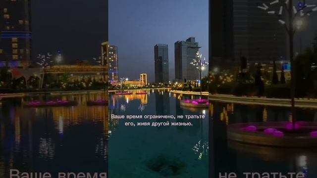 Стив Джобс#мативация #цитаты #цитатадня