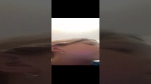 сумасшедший брат