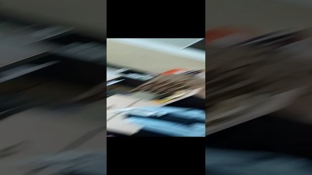 VID_20241116_211410.mp4