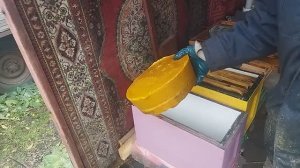 Сортировка рамок до перетопки